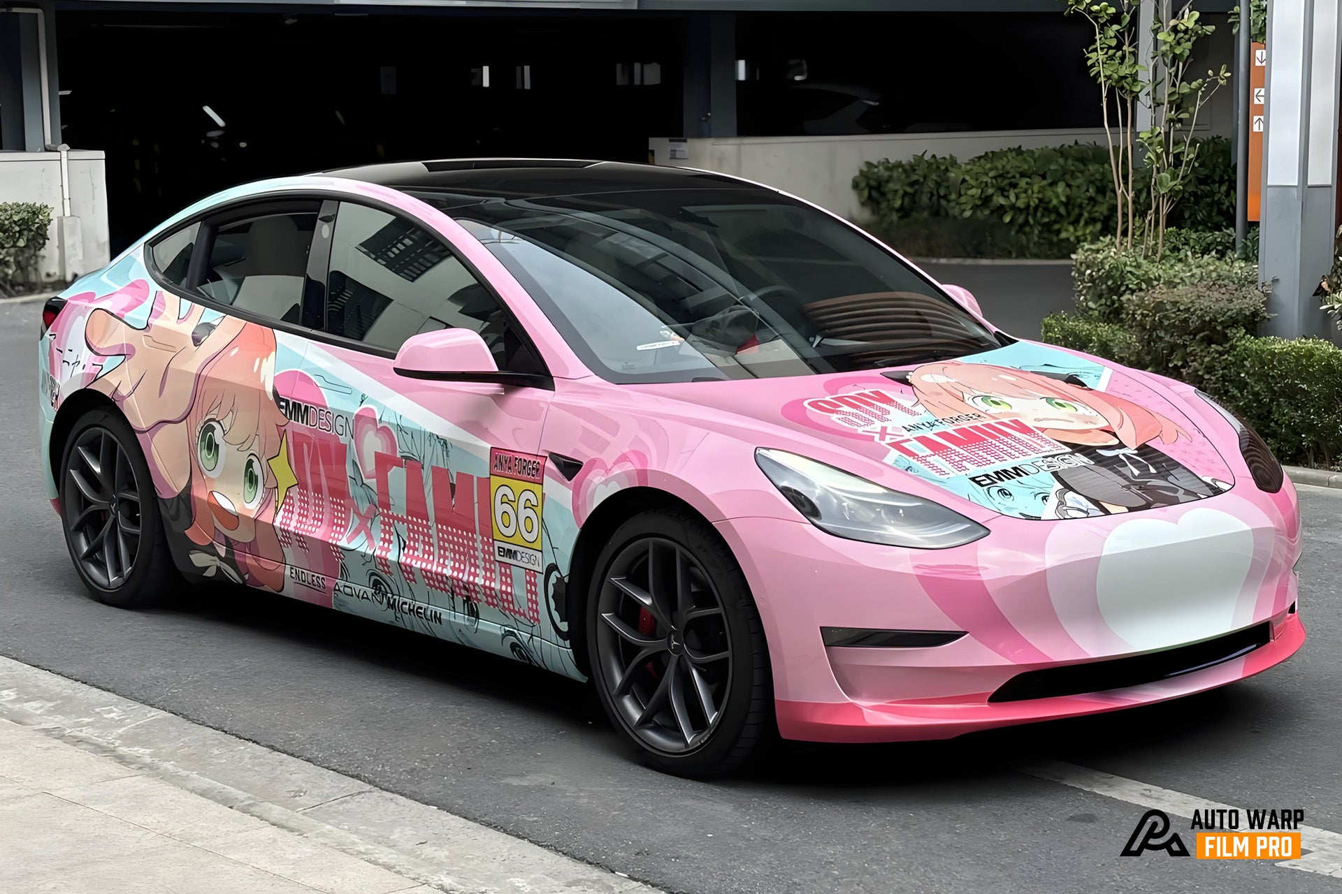 Aniya A Car Wrap – Auto Wraps Film Pro