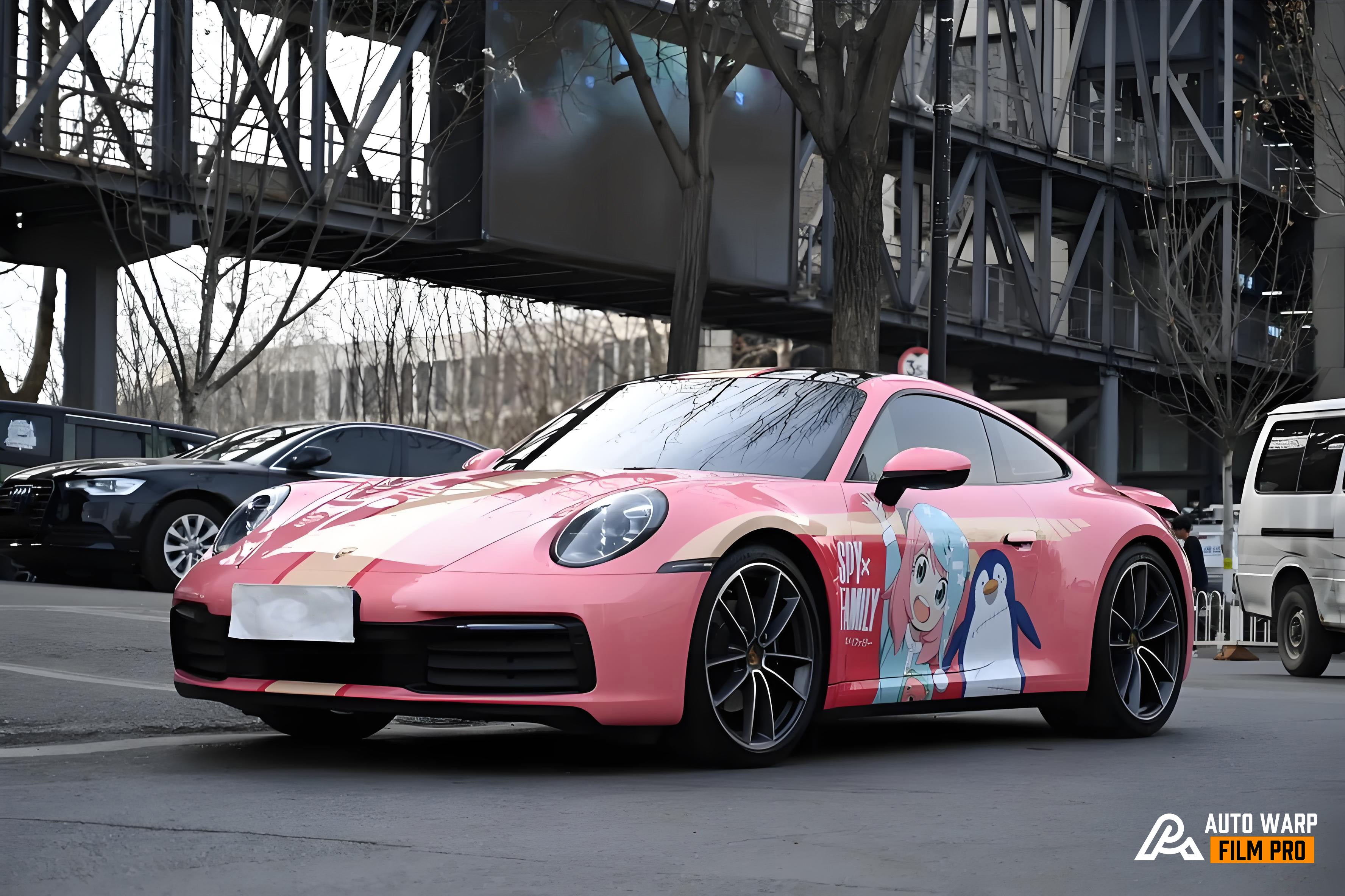 Aniya C Car Wrap – Auto Wraps Film Pro